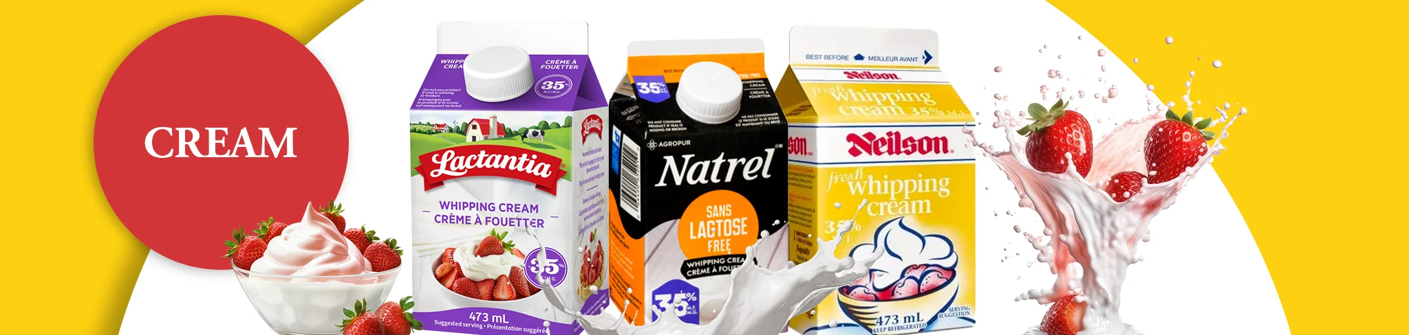 Top Dairy Suppliers and Distributors in Ontario | Dairy Max
