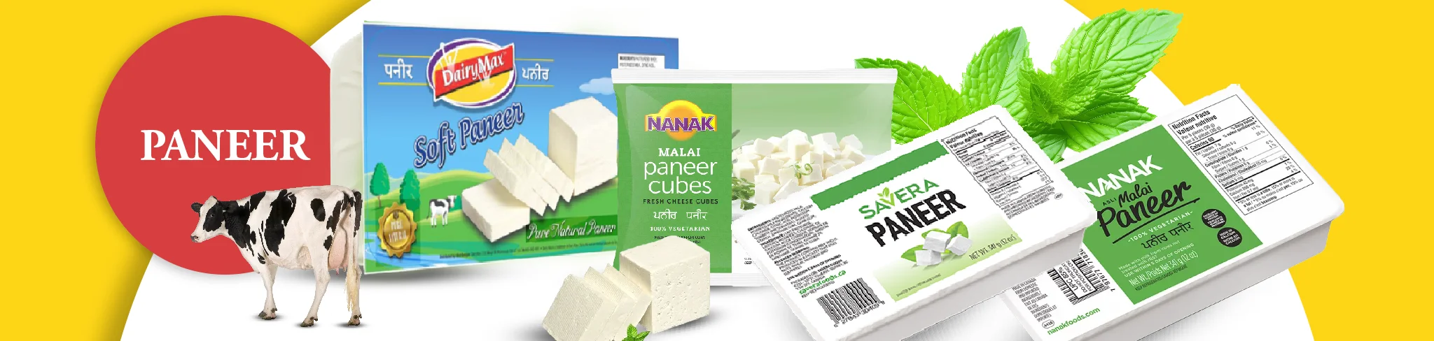 Top Dairy Suppliers and Distributors in Ontario | Dairy Max